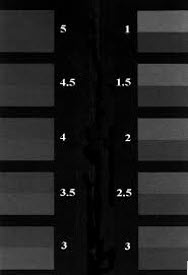 5 Color Fastness Tests to Prevent Textile Fading and Staining