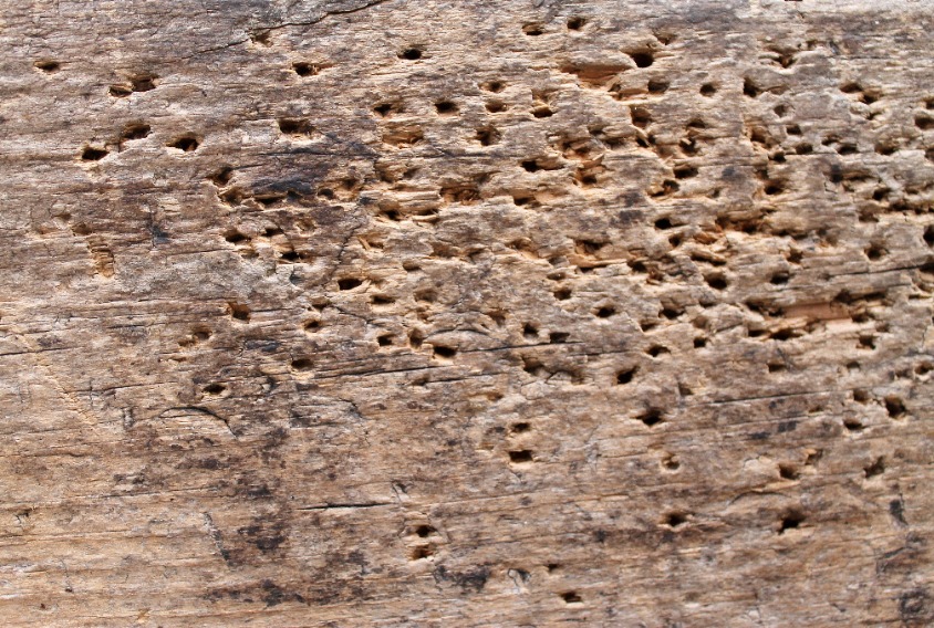 Wooden Furniture 101: How To Retain Quality During Manufacturing